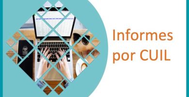 Averiguar y sacar CUIL o CUIT online con DNI (ANSES - AFIP) - Mi Cuil